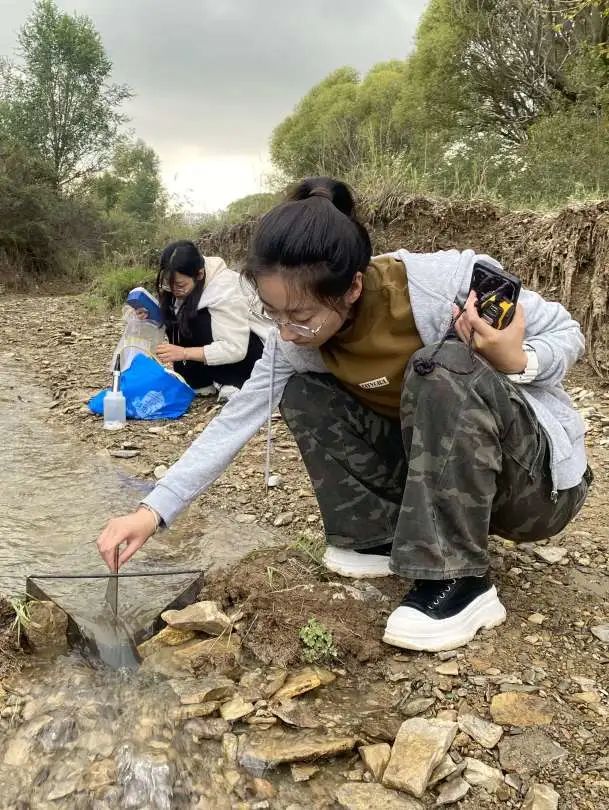 宁夏宁苗生态建设集团股份有限公司